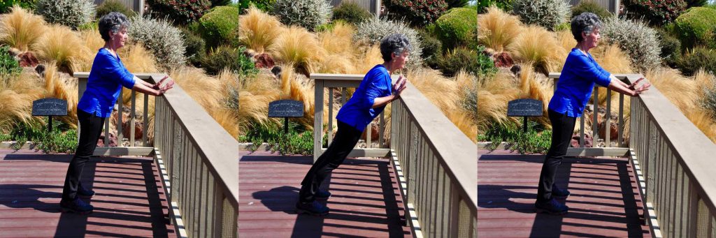 Build Core with Ease | The Leaning Plank Series | Dynamic Vitality Blog